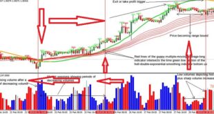 Harmonic Patterns Volume Strategy Book PDF Free